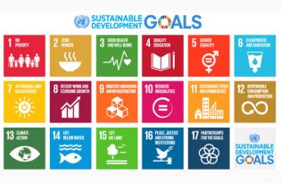 Human Resource Development | BHN Association